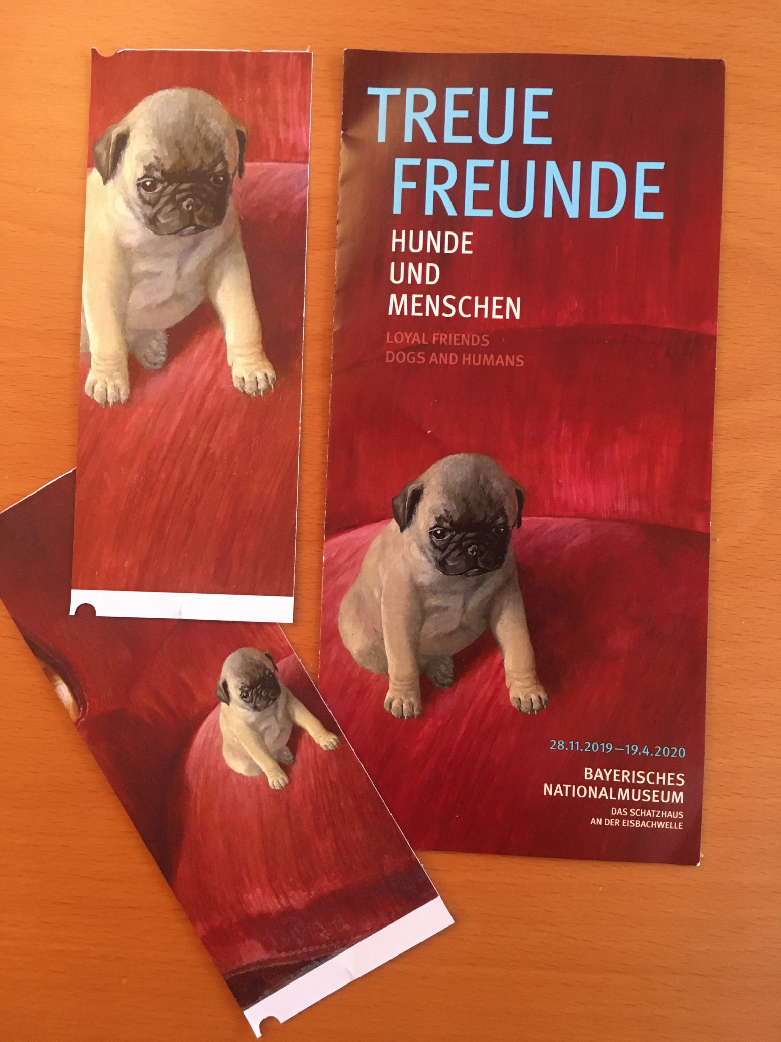 Treue Freunde: Hunde und Menschen – MY LUCKY DOG